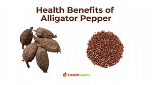 20  Scientifically Proven Health Benefits Of Alligator Pepper