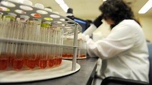 LabCorp to buy Covance for $6.1 billion