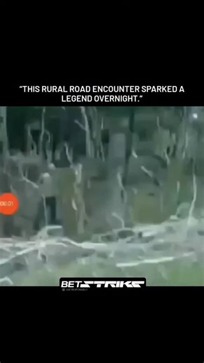 bleakfable | On October 15, 2017, a dashcam captured something that still defies clear explanation. The footage shows a car traveling down a dark, rural... | Instagram