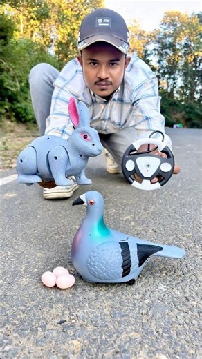Rc Birds & Remote wala Rabbit🐇ke Unboxing😊