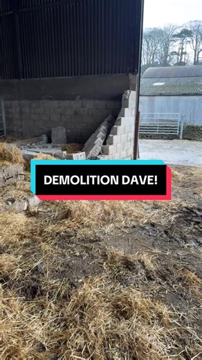 Demolition Techniques for Builders
