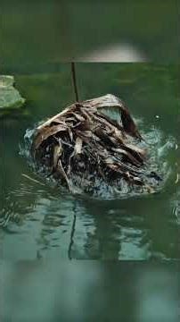 Traditional Chinese Paper Unique Production Process