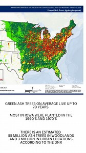 Wondering what's going on with the trees at the main entrance of Swan Lake State Park? Kristen Bieret Environmental Education Coordinator shares a bit more information about why those trees were removed, and how it is part of the bigger habitat restoration plan in the long run. | Carroll County Conservation
