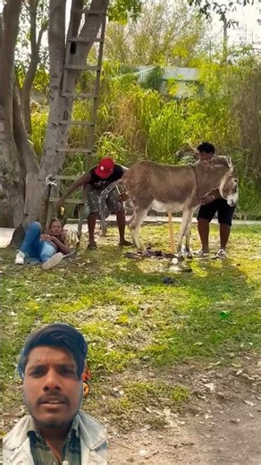 Building Wooden Log Cabin in Forest | Survival House Step by Step"#reelschallenge