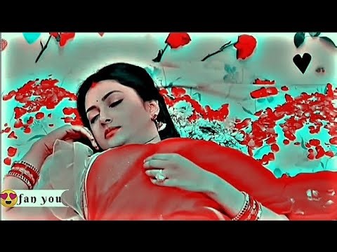 💞Newly Married Couple Goals 😘 Caring Husband Wife Romantic Love 💘 WhatsApp Status 😍 #romantic #goals