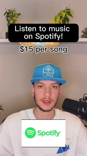 20K views · 564 reactions | Follow for more and visit my profile to learn how to promote Spotify music! #makemoneyonline #wfh #financialfreedom #onlinebusiness #ghostcommerce #affiliatemarketing #sidehustles #wifimoney #entrepreneur #Spotify #spotifyartist #spotifycurators | Alexander Schnepp | Facebook