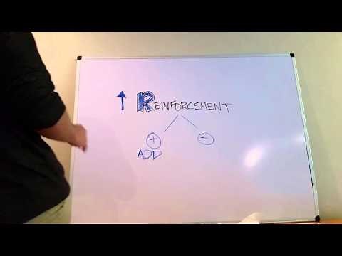 Difference Between Positive and Negative Reinforcement