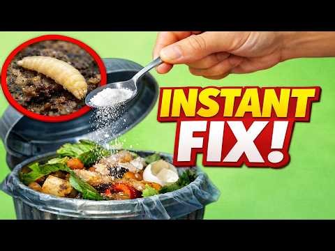 How to Get Rid of Maggots Naturally ( 7 Proven Methods)