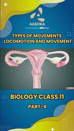 Types of Movements Part-4 | Locomotion and Movement | Biology | Class 11 | AASOKA #Shorts
