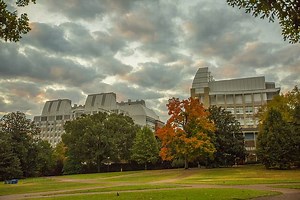 What’s it like to be pre-med at Vandy?