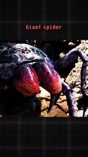 The SCARIEST Monsters of CARBONIFEROUS PERIOD