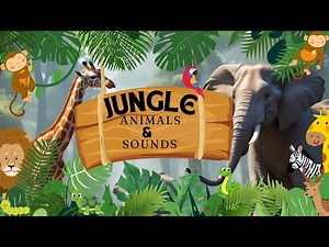 Wild Animals For Kids | Learn Jungle Animals Names And Sounds | Safari Forest Fun | Fun Factory Kid