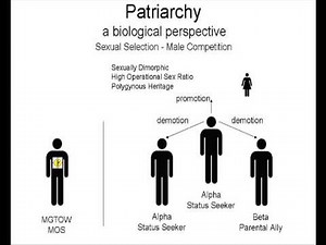 FP006 Patriarchy A Biological Perspective