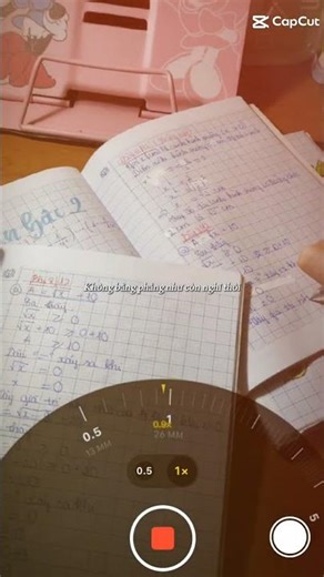 Vẫn đang Tết mà sao thấy sắp hết rồi #studymusic #study