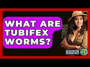 What Are Tubifex Worms? - Ecosystem Essentials