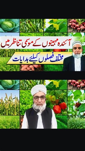 Preparing for Spring Crops: Best Planting Strategies