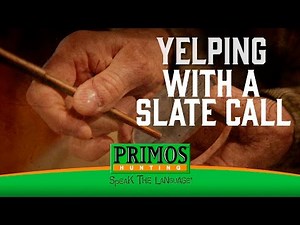 How To Yelp With A Slate Call