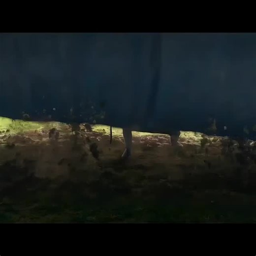 𝑶 𝑻 𝑨 𝑾 • 𝑬 𝑫 𝑰 𝑻 ☠️ on Instagram: "#🇯🇵Japan is turning footsteps into electricity! Using piezoelectric tiles, every step you take generates a small amount of energy. Millions of steps together can power LED lights and displays in busy places like Shibuya Station. A brilliant way to create a sustainable and smart city • turning m..."