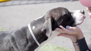 2.2K views · 50 reactions | RESCUED - moved to SAFE Album on 05/01...