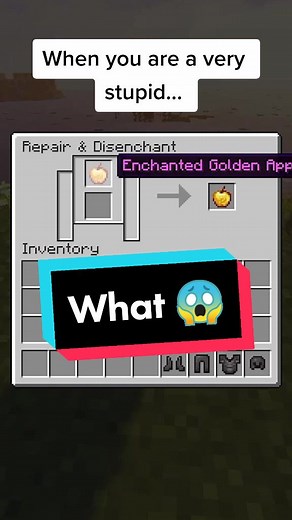 Minecraft: Disenchanting Golden Apples Fail