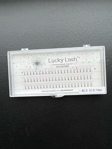 Lucky Lashes - Nepwimpers - 4D 14mm 0.07 D krul - 66 stuks - Pre-Made Volume Fans –... | bol.com