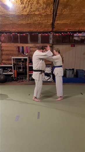 Short Demo Jukoryu jujitsu Brown belt: ryote kubi tai otoshi