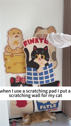 Essential Cat Scratching Post for Small Homes