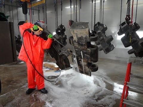 Uncovering the Power of Oxalic Acid