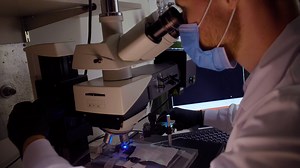 Intravital Widefield Fluorescence Microscopy of Pulmonary Microcirculation in Experimental Acute Lung Injury Using a Vacuum-Stabilized Imaging System