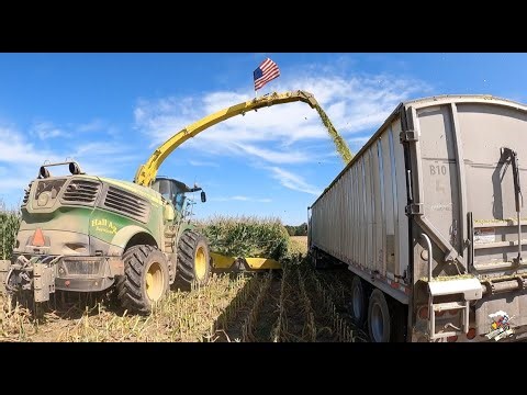 Chopping Corn Silage & Building a silage pile at Convoy Dairy Farm