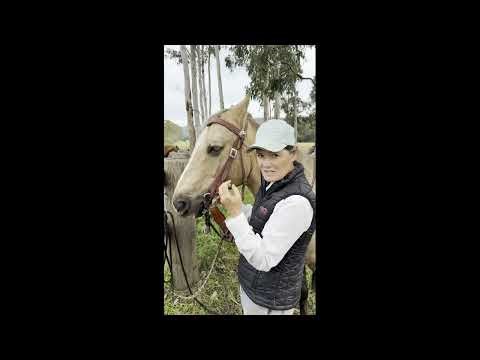 Snaffle Bit Fit Lessons From Horses. Friday Fundamentals