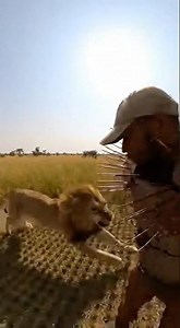 Spiked Armor vs Real Animals — What Happens #shorts #survival #test