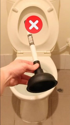 DIY blocked toilet fix