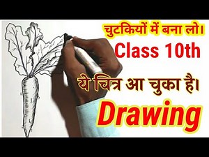 25 February 2023 मूली का चित्र /चित्रकला कक्षा 10/Class X Drawing | highschool drawing| class 10