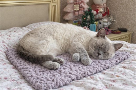 Cat Window Sill Mat & Cozy Cat Bed Pad, Soft Neutral Cat Mat for Window, Shelf or Floor, Modern Cat Furniture - Etsy