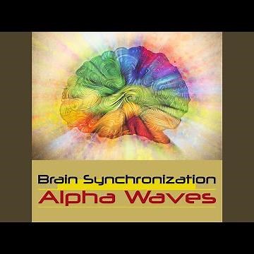 Brain Synchronization