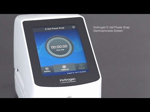 Invitrogen E-Gel Power Snap System Features