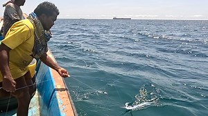 100K views · 1.1K reactions | We Caught Needle Fish, Horse Mackerel & Wolf Herring in the Sea | Neerulagam | Facebook