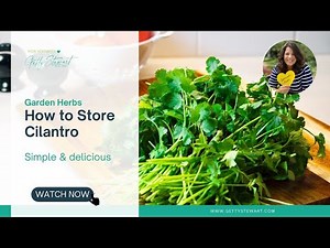 How to Store Cilantro to Reduce Food Waste and keep it Flavourful