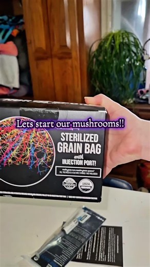 Check back for all our mushroom updates @northsporemushrooms is my go to for all my mushroom needs! Grain bags are used to grow the mushroom root (mycelium) once it turns completely white inside the bag, we will mix it will substrate (a mix of dirt, saw dust, etc) and then it will fruit into the mushrooms we are used to seeing 💖 This can take weeks or months, depending on the mushroom type and grow conditions #mushrooms #garden #gardening #mushroom #mycelium | The Kentucky Crystal Garden