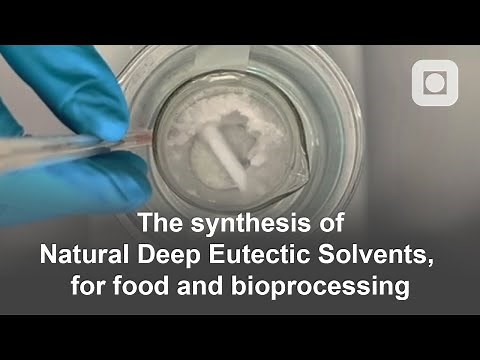 The synthesis of Natural Deep Eutectic Solvents, for food and bioprocessing - Bachelor's thesis