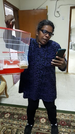 Caring for Pet Birds: Tips for Birdcage Setup