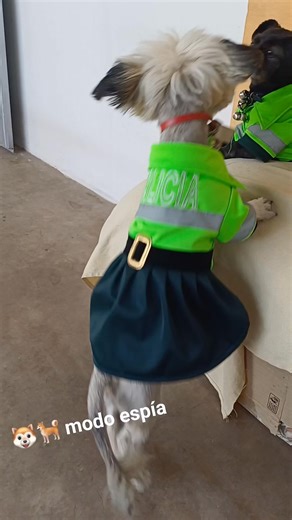 Issa Alarcon on Reels