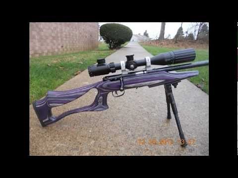 Squirrel hunting with The 17hmr.wmv