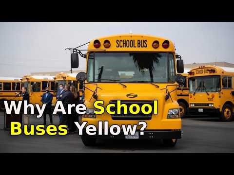 Why Are School Buses Always Yellow?