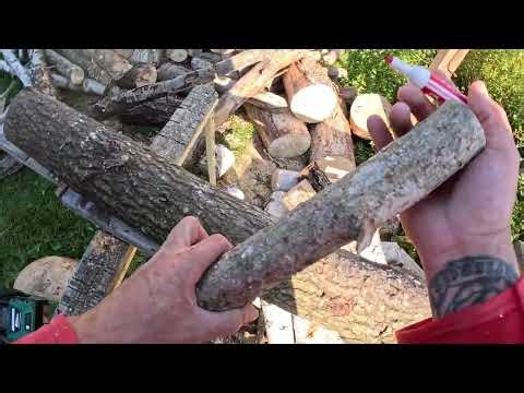 MASTER FORCE 80 Volt MAX Chainsaw.