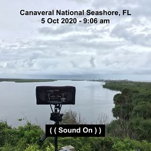 3, 2, 1 listen.... Sound description: waves crash and rumble, birds chirp. These natural sounds were recorded by 2020 Canaveral National Seashore Artist-in-Resident Nathen Wolek. Much gratitude is given to the Atlantic Center for the Arts for partnering to make this program a success. Artist In Residence - Canaveral National Seashore (U.S. National Park Service) (nps.gov) @lowkeynw @CanaveralNatlSeashore @AtlanticCenterfortheArts @ArtistinResident #MeditationMonday NPS/Photo Photo description: S