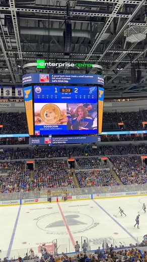 Funny Look Alike Moments at the Blues Game