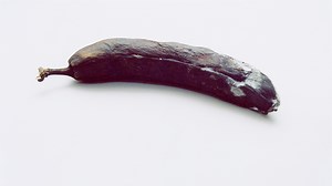 Reducing food waste takes more than finishing your plate