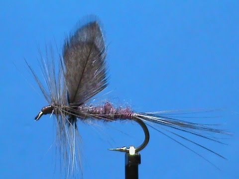 Fly Tying for Beginners an Isonychia Dun with Jim Misiura
